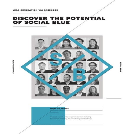 Social Blue | PDF