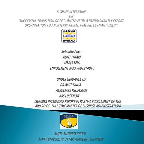 SUMMER INTERNSHIP PPT | PPTX