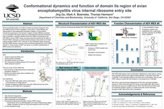 PROYECTO TIMOTEO | PPT