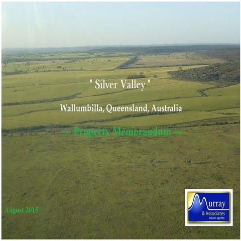 Silver Valley Powerpoint Presentation. | PDF