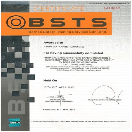 T-BOSIET Training Certificate | PDF