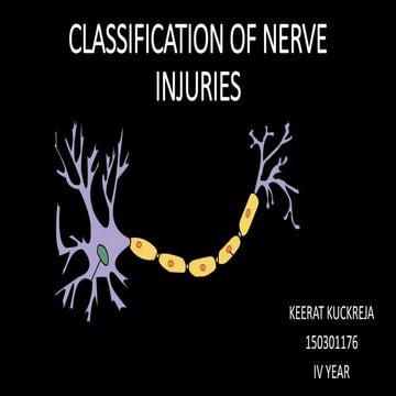 CLASSIFICATION OF NERVE INJURIES | PPTX