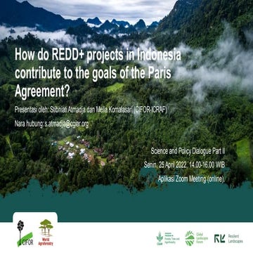 How do REDD+ projects in Indonesia contribute to the Paris Agreement | PDF