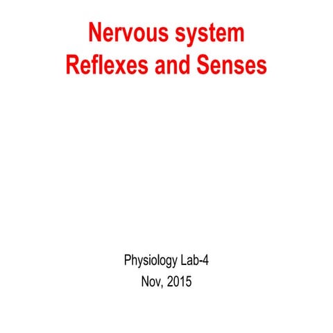 Nervous system reflexes and superficial senses | PPT