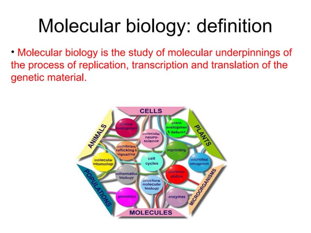 The history of cells and cell theory | PPTX