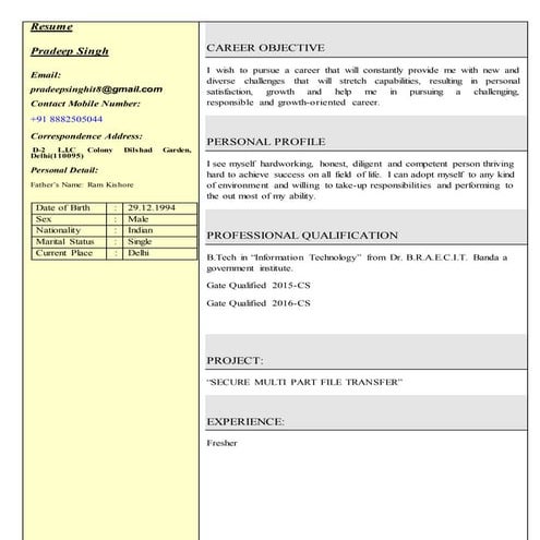 pradeep resume.pdf