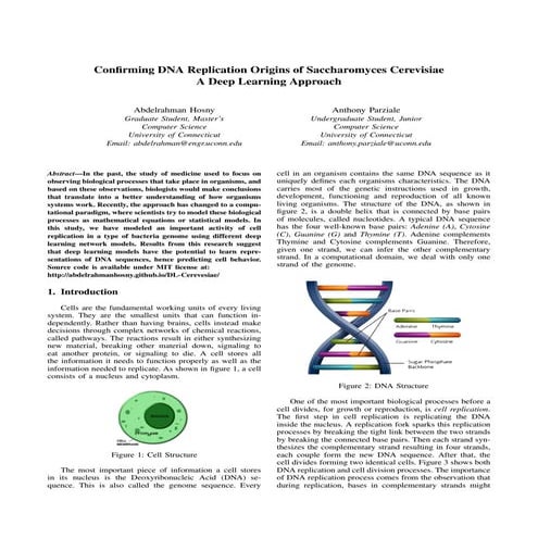 Confirming DNA Replication Origins of Saccharomyces Cerevisiae A Deep Learning Approach | PDF