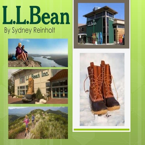 L.L. Bean Consumer Behavior Analysis | PDF