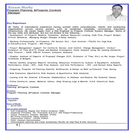 2017 Updated CV - Essam Harby | PDF