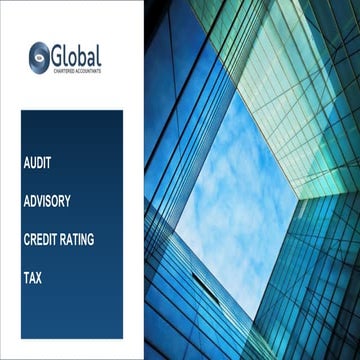 Global Chartered Accountants | PDF