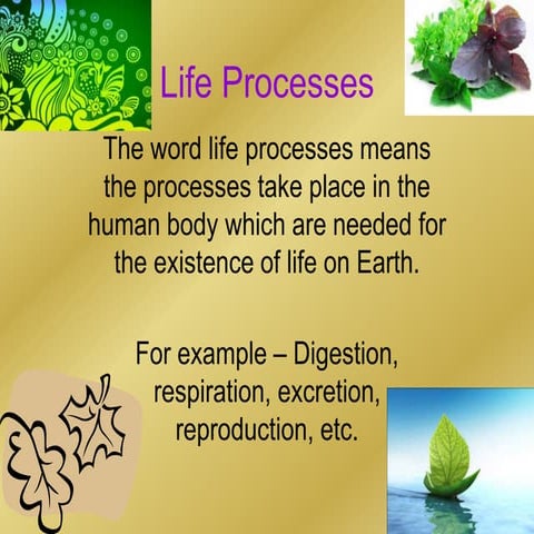 Life processes grade 10 | PPTX