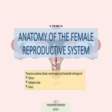 423864759-Anatomy-of-female-reproductive-system.pptx