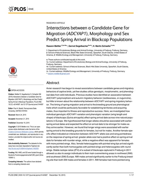 Loggerhead_poster | PPT