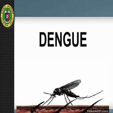 424570922-Dengue-Presentation-Tagalog.pptx