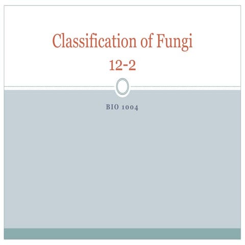 4. Classification of Fungi.pdf