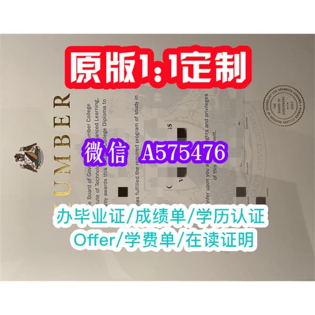 一比一原版Offer(FSU文凭)美国佛罗里达州立大学毕业证FSU成绩单学历认证 | PDF