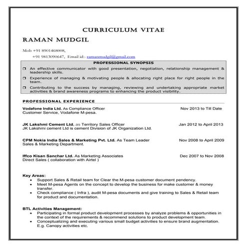 Raman Resume | DOC