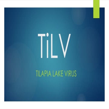 426553464-Tilapia-LAKE-VIRUS-TiLV.budida | PPTX