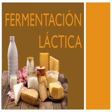 Fermentación Láctica Proceso Yogurt.pptx