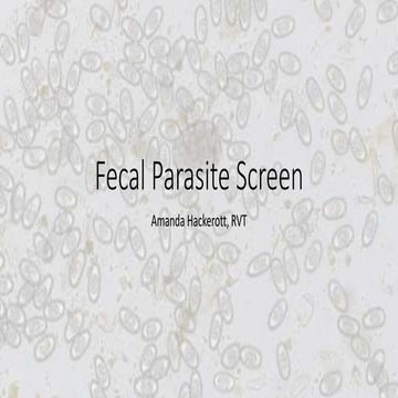 Fecal Parasite Screen | PPTX | Chemistry | Science