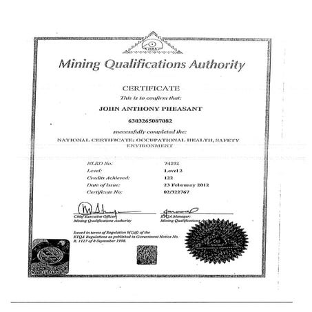 Level 2 Safety | PDF