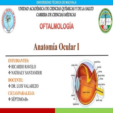 ANATOMÍA DEL OJO (ANEXOS), NERVIOS CRANEALES | PPT