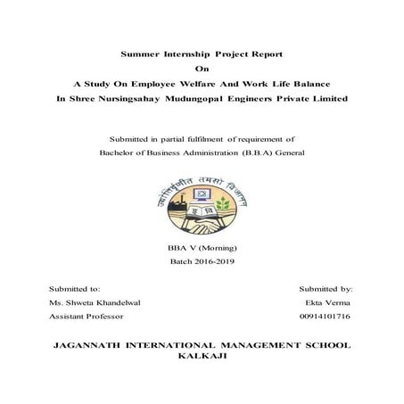 427259678-Summer-Internship-Project-Report.docx