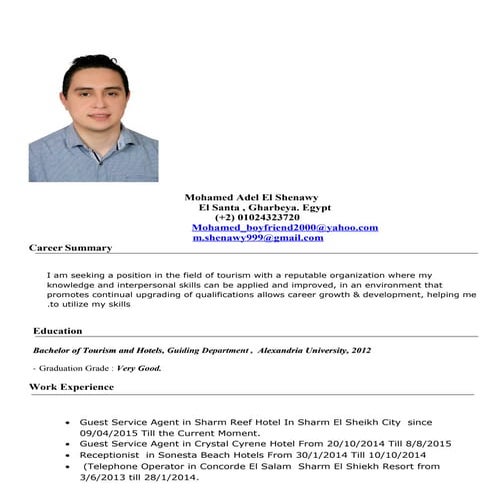 Mohamed New CV | PDF