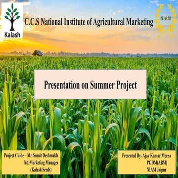 summer internship presentation crop company | PPTX