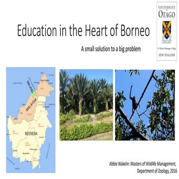 In the Heart of Borneo | PPT