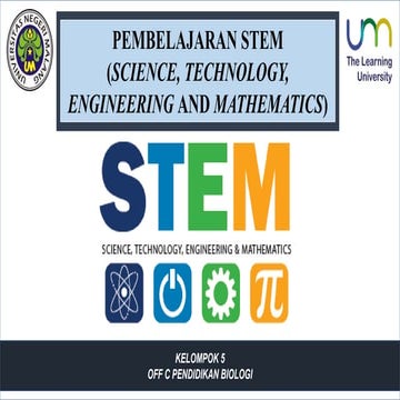 429032089-STEM-ppt.ppt