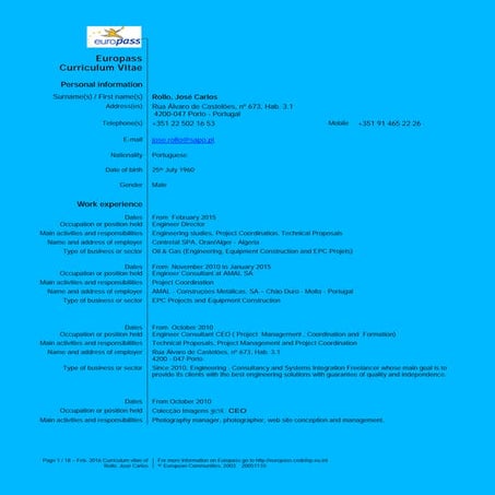 Curriculum Vitae KubusP2016 | PDF