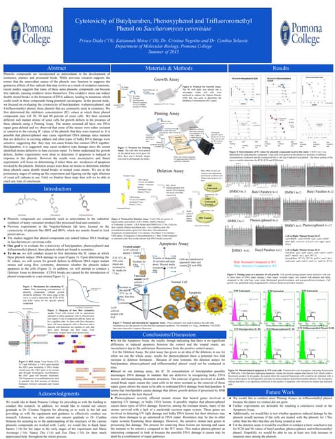 Eye color mutations chromatography drosophila | PDF