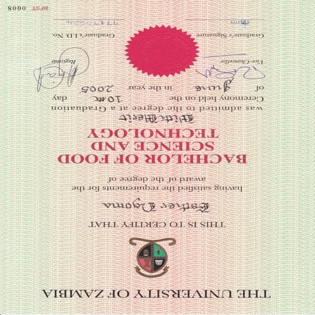 Bachelors Degree | PDF