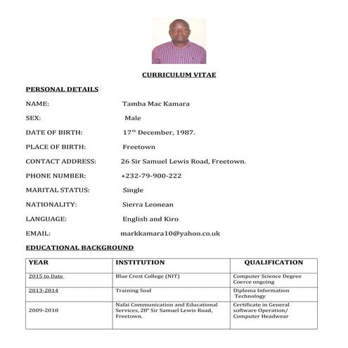 Mark CV | DOC | IT and Internet Support | Internet