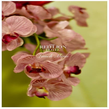 Red Lion Lunch Menu FINAL 2 | PDF