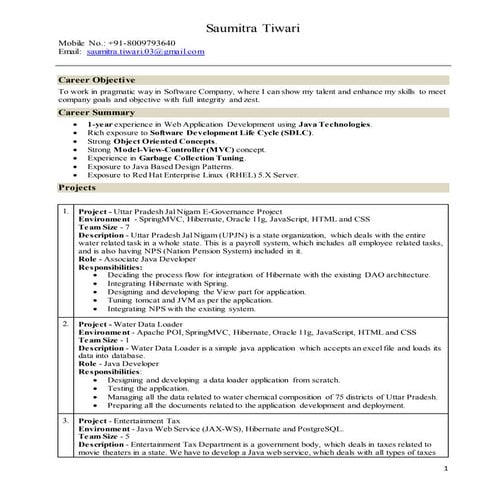 Saumitra Tiwari Resume | DOCX