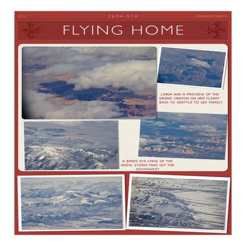 42 flying home | PDF