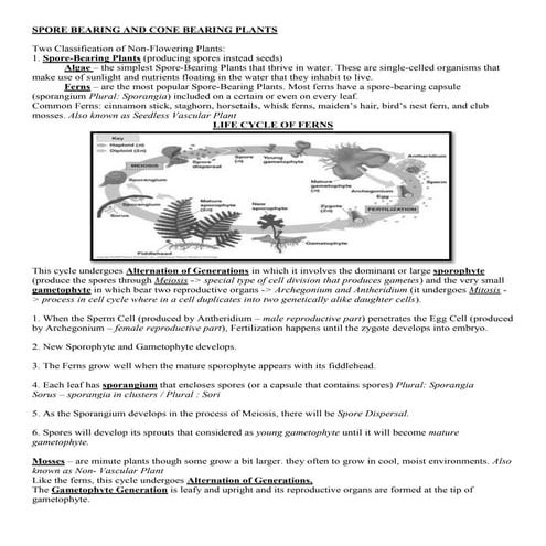 430046361-Spore-Bearing-and-Cone-Bearing-Plants-docx-Version-1.docx