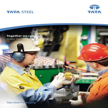 2011 TATA PACKAGING brochure def | PDF