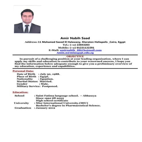 amir cv | DOC
