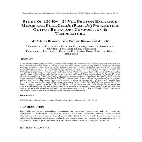 CELDAS DE COMBUSTIBLE TIPO MEMBRANA DE INTERCAMBIO PROTÓNICO.pdf