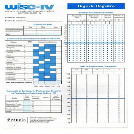 431858126-Wisc-IV-protocolo-de-registro.pdf