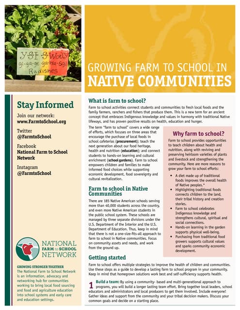 CO: School Gardening Best Practices | PDF