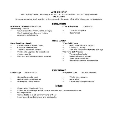 Luke Scherer Resume | DOCX
