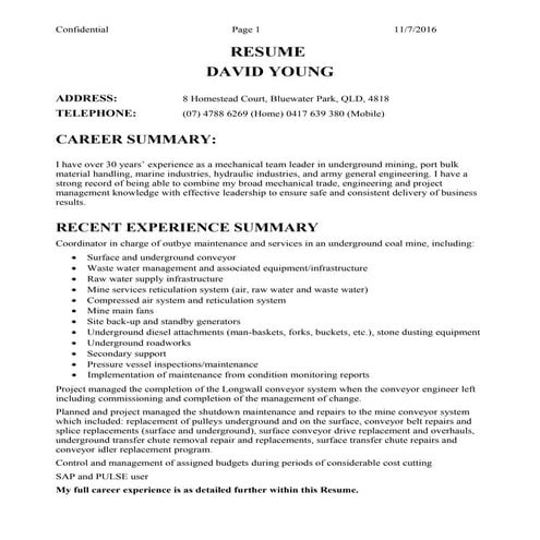 Resume David Young | DOC