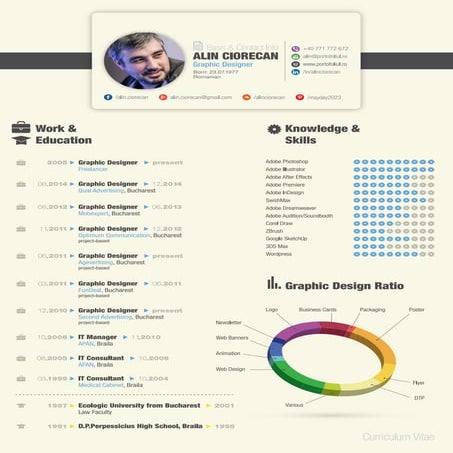 CV Alin Ciorecan | PDF