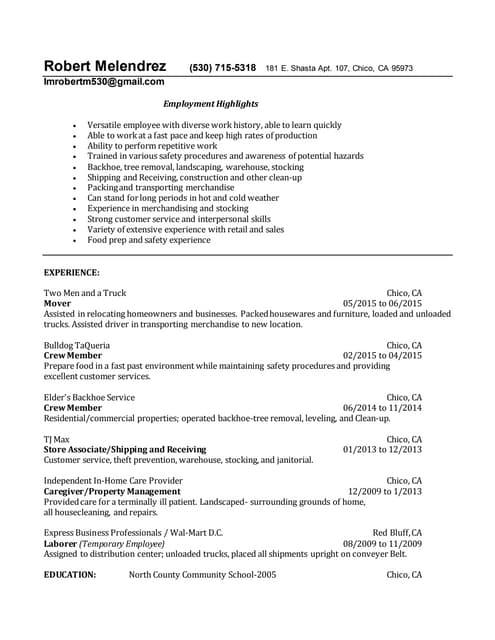 Jasmina Hamzić CV.docx engleski | PDF