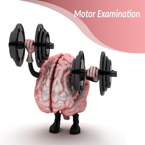 Muscle Power and Tone Examination | PDF