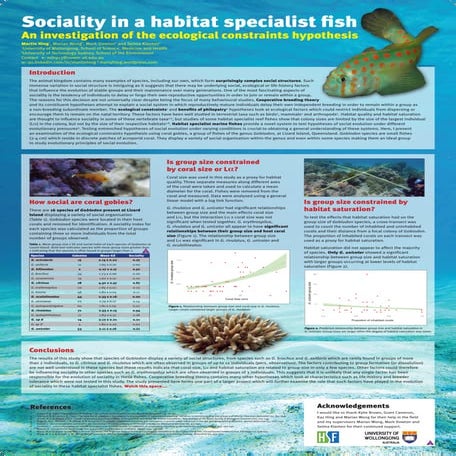 MHing fish poster | PDF